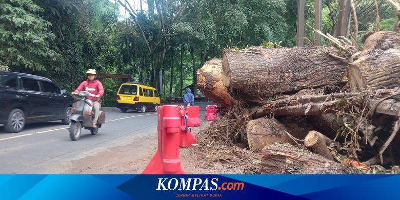 Longsor dan Pohon Tumbang Cipanas, BPBD Sebut Titik-titik Rawan Bencana Jalur Puncak
