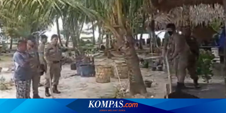 Viral Kisah Canon, Anjing di Aceh Singkil yang Mati Usai Ditangkap ...