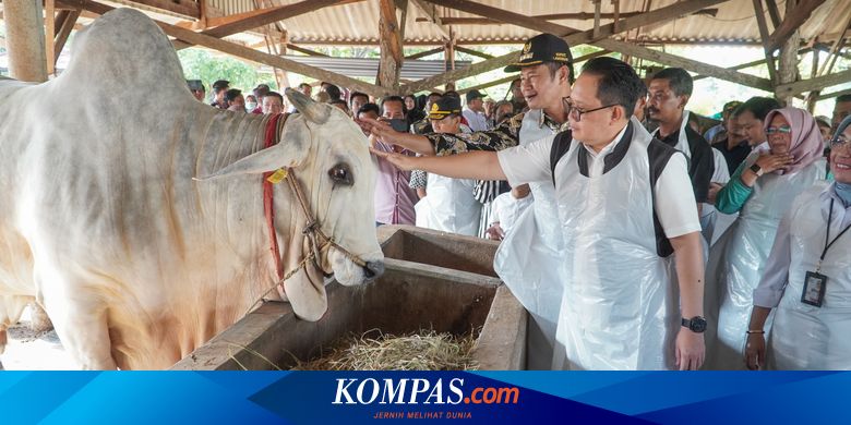 Permintaan Melonjak Jelang Idul Adha, Bupati Lamongan Pastikan Stok Hewan Kurban Aman dan Sehat