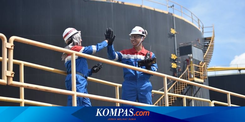 Subholding Upstream Pertamina Catat Kenaikan Produksi Migas Sepanjang 2024