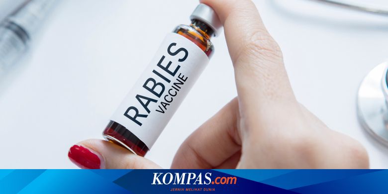 Kemenkes RI Tetapkan Dua Kabupaten di Provinsi NTT Berstatus KLB Rabies