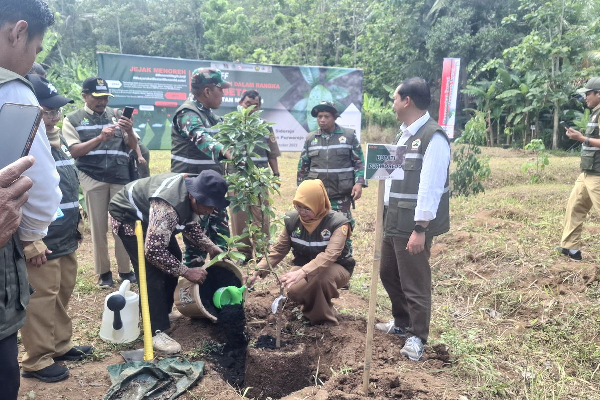 Revegetasi Menoreh, 91 Ribu Pohon Ditanam Pulihkan 459 Hektar Lahan Kritis