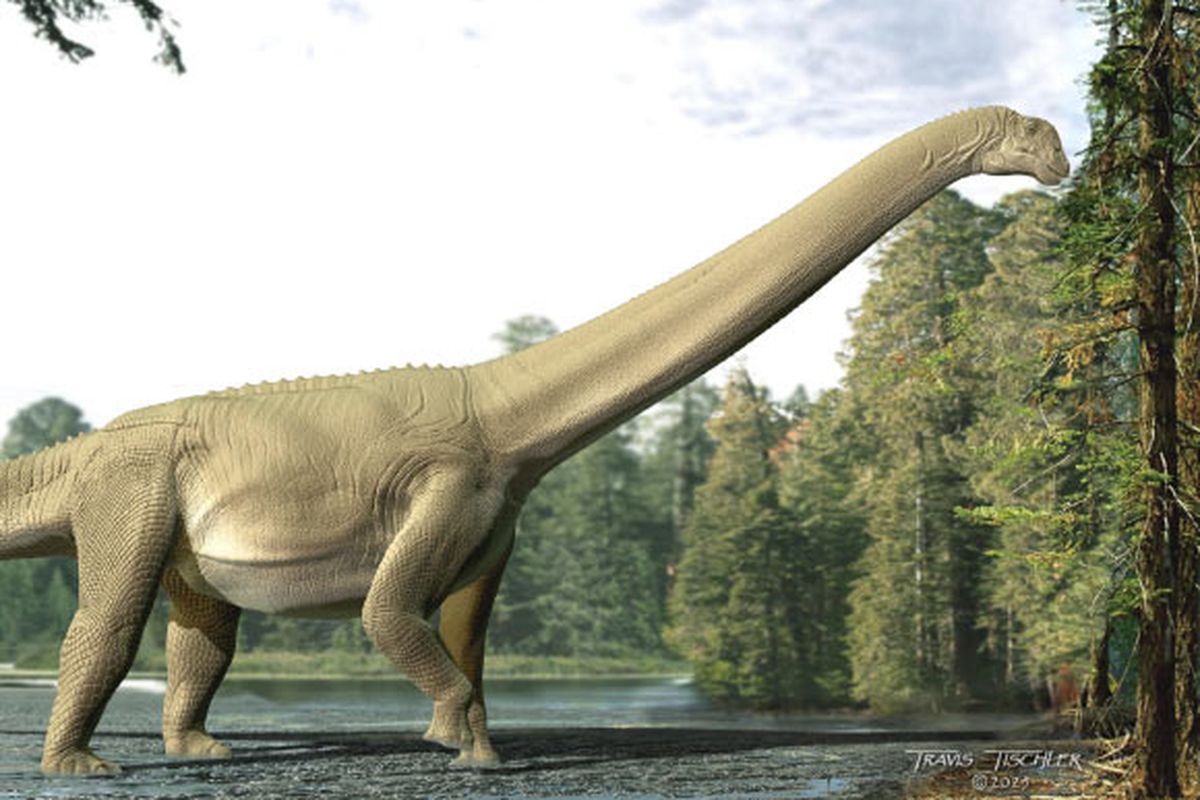 Mengintip Isi Perut Dinosaurus Raksasa: Apa yang Dimakan Sauropoda 94 ...