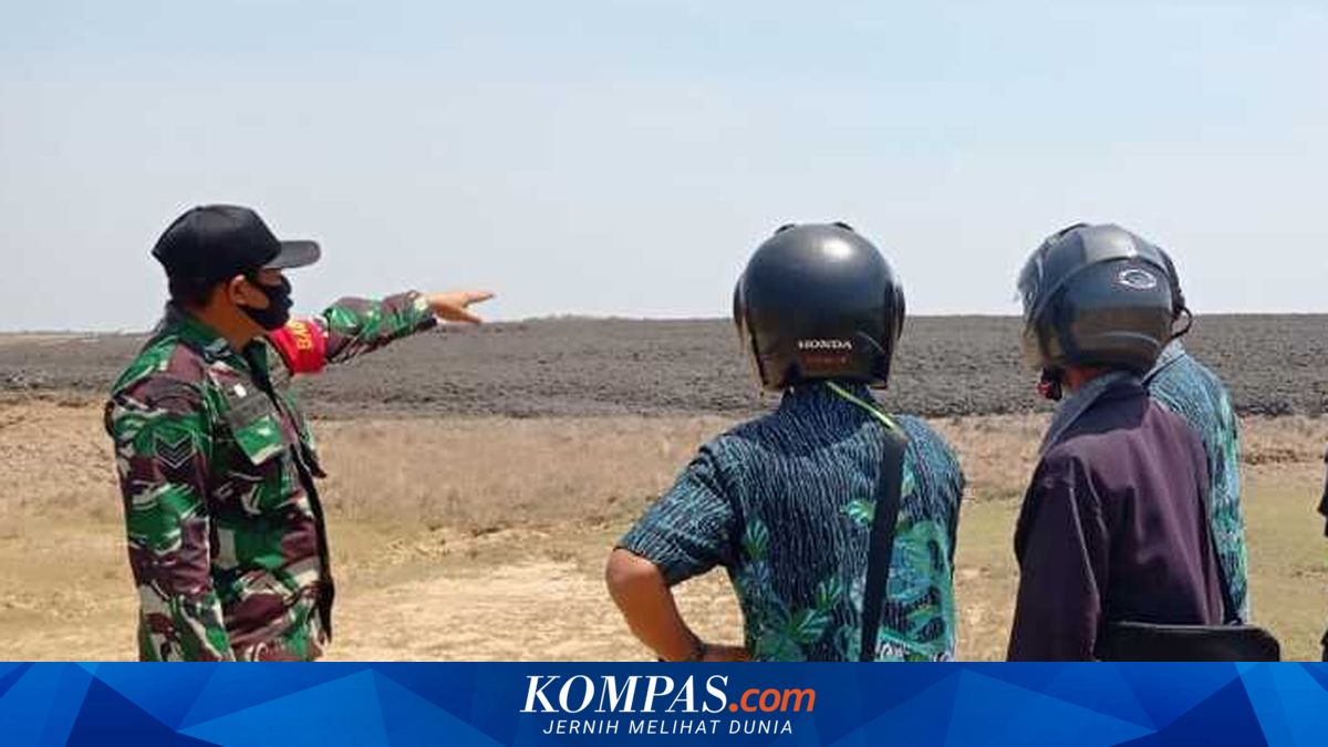 Legenda di Balik Lumpur Kesongo yang Telan 17 Ekor Kerbau, Kisah Ular ...