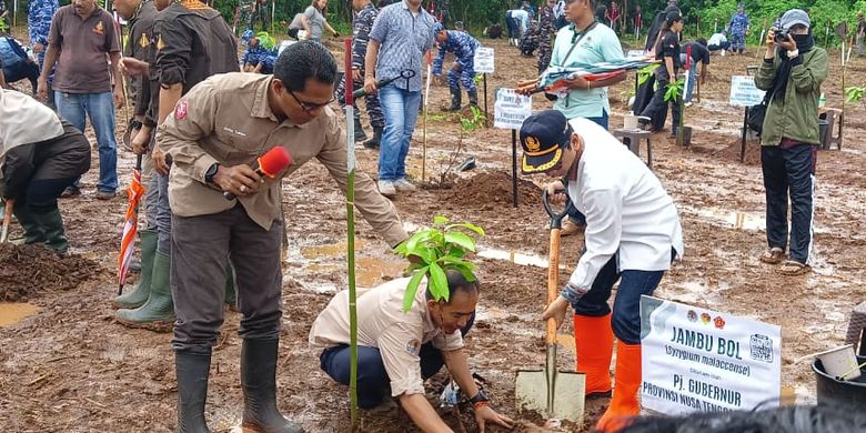 Rehabilitasi Hutan dan Lahan Kupang, 750 Pohon Produktif Ditanam