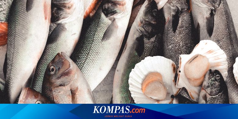 Selama Pandemi, Ekspor Ikan dari Jawa Timur Meningkat
