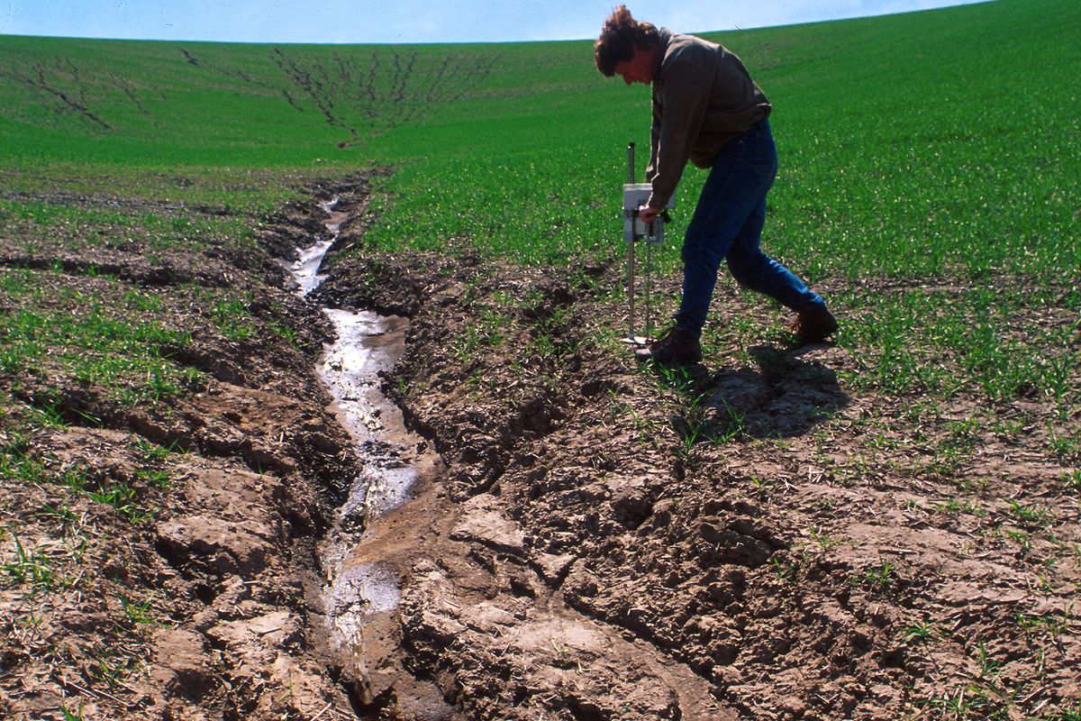 8 Akibat Terjadinya Erosi Tanah: Kesuburan Hilang, Bencana Datang