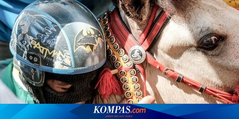 Pacuan Kuda di Bima Bakal Jadi Acara Nasional, Ini Persiapannya