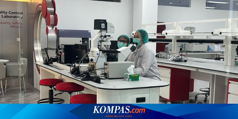 Stem Cell, Terapi Penyakit yang Menjanjikan tapi Bukan Obat Ajaib
