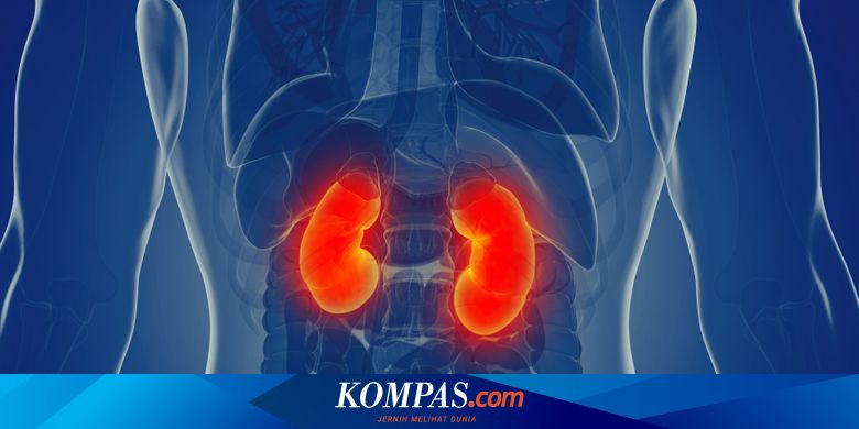 Gangguan Ginjal Akut Mencapai 245 Kasus, Ini Sebarannya di 26 Provinsi