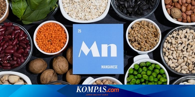 Berita Harian Fungsi-mangan Terbaru Hari Ini - Kompas.com