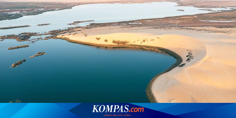 Panduan Wisata ke Al Ahsa, Salah Satu Oasis Terbesar di Dunia