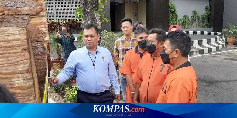 3 Pelaku "Illegal Logging" di Palembang Ditangkap, 700 Batang Kayu dari Hutan Lindung Disita