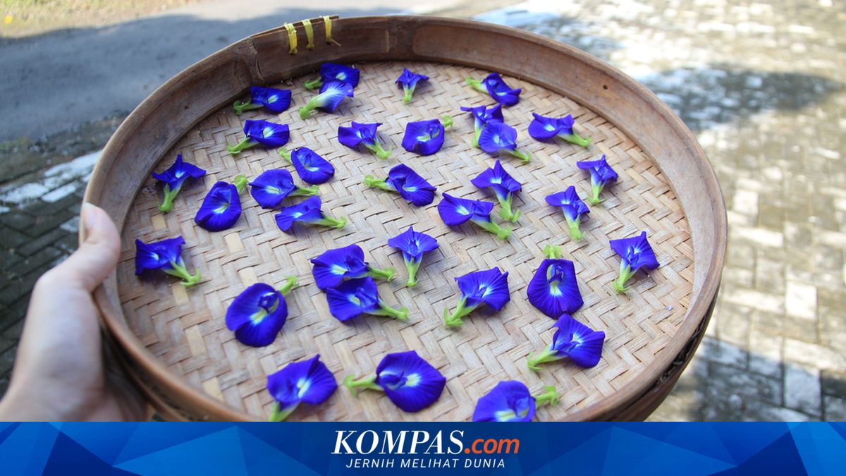Bunga Apa Saja yang Bisa Dijadikan Obat? Berikut 9 Daftarnya
