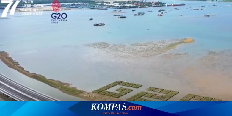 Jadwal dan Ruas Jalan di Bali yang Berlaku Ganjil Genap Saat KTT G20