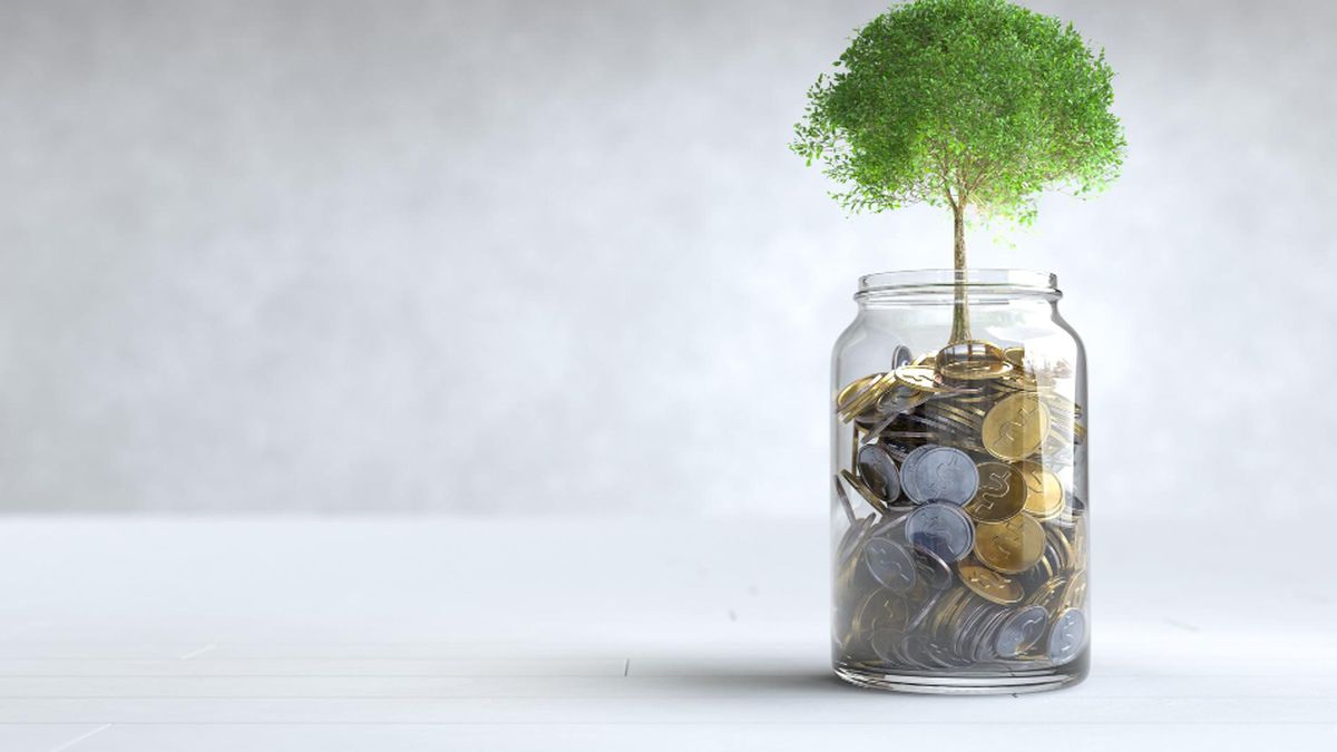 Inisiatif Net Zero Asset Manager Diluncurkan Kembali, Target Nol Bersih ...