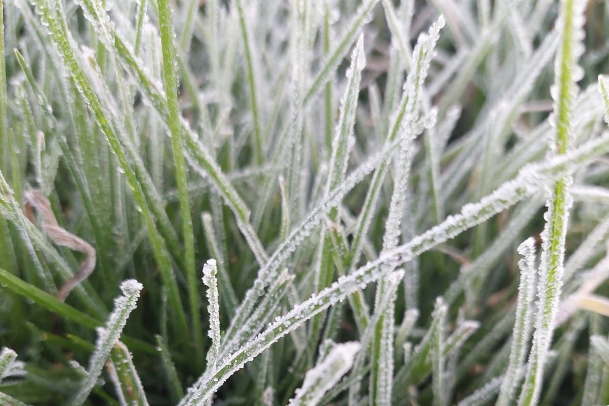 Fenomena Viral Embun Es di Dieng, Ini Panduan Transportasi Kesana