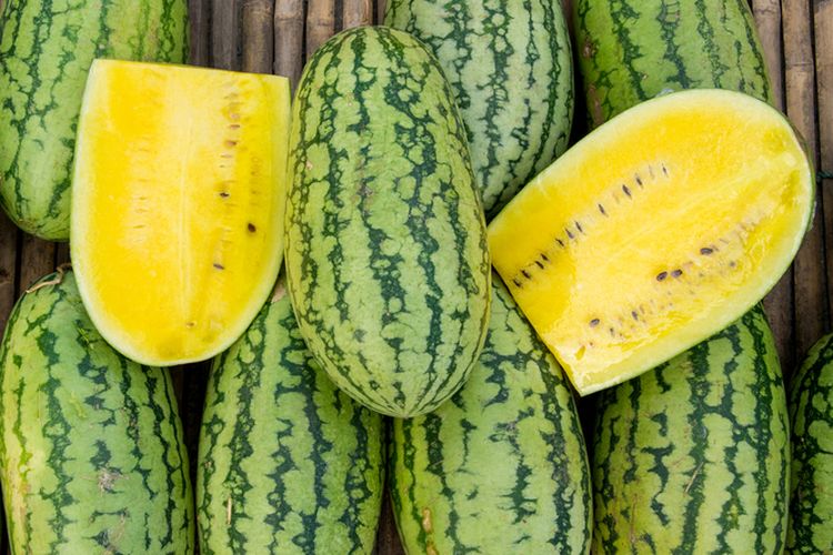 Cara Menanam Semangka Kuning dan Perawatannya