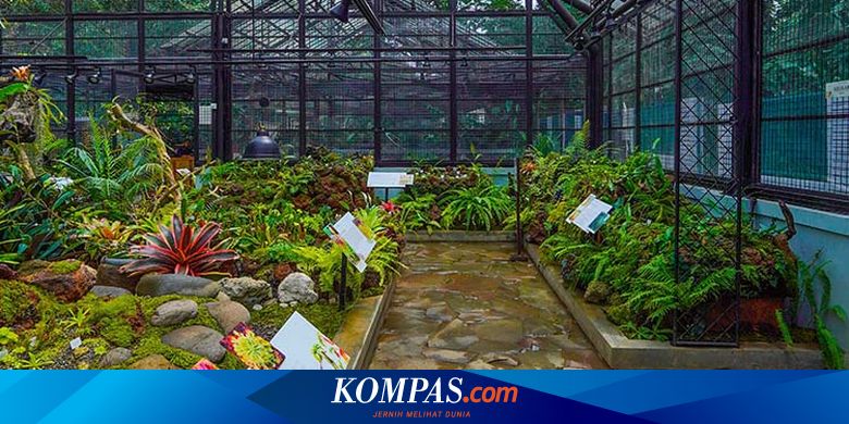 Prakiraan Cuaca Bogor Hari Ini Kamis 6 Juni 2024, dan Besok : Malam ini ...