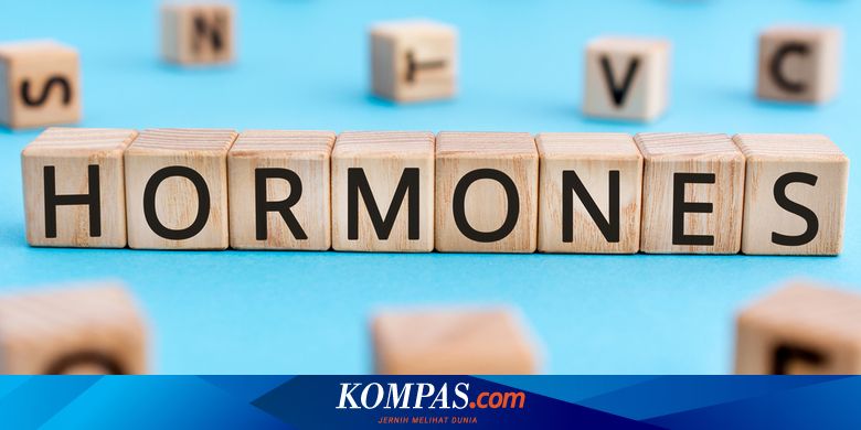 Hormon: Pengertian, Fungsi, dan Pembuatannya