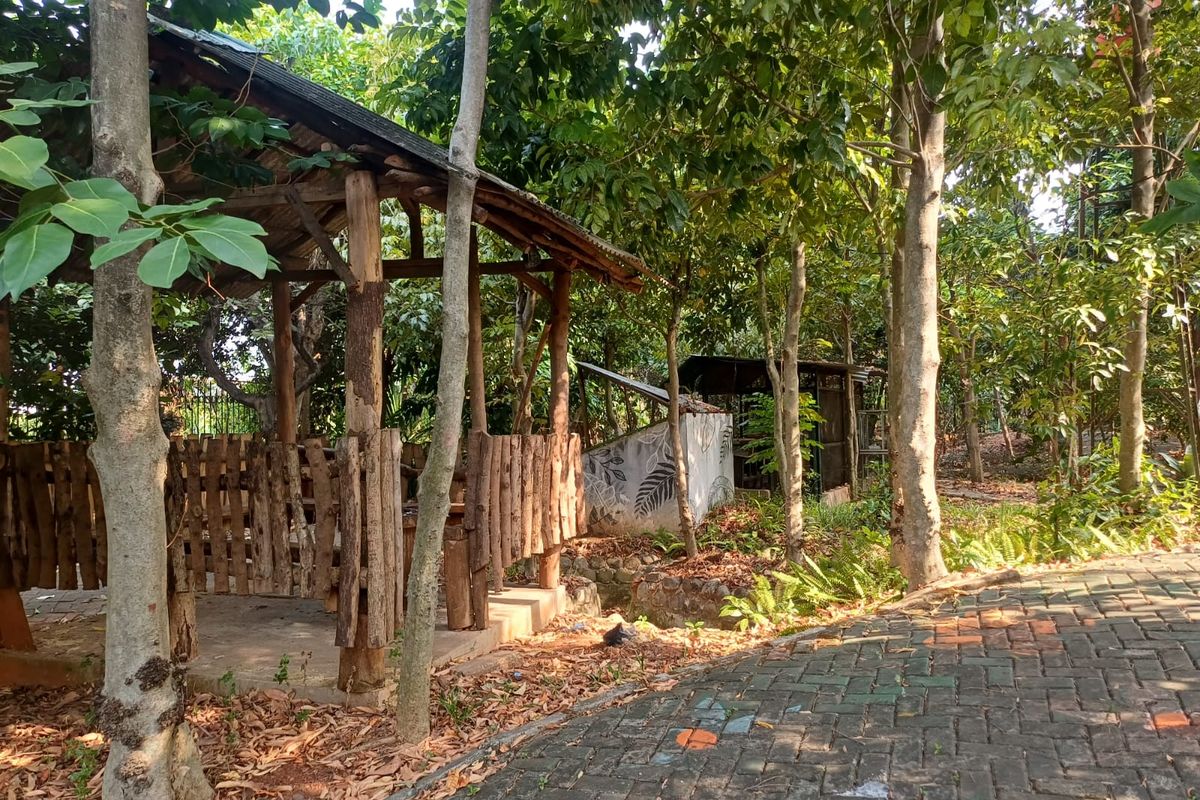 Hutan Kota Rawa Buaya dan Suasana Tenang di Tengah Fasilitas yang ...