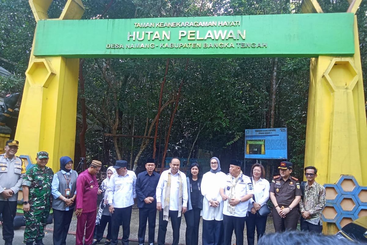 Hutan Pelawan Simpan Madu Langka dan Jamur Rp 3,5 Juta Per Kilo