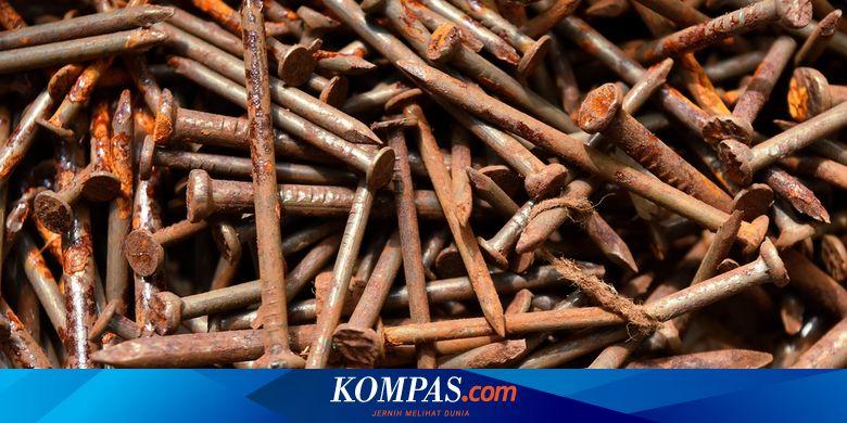 Tertusuk Paku Bisa Meninggal akibat Tetanus, Kenali Gejala Infeksi dan ...