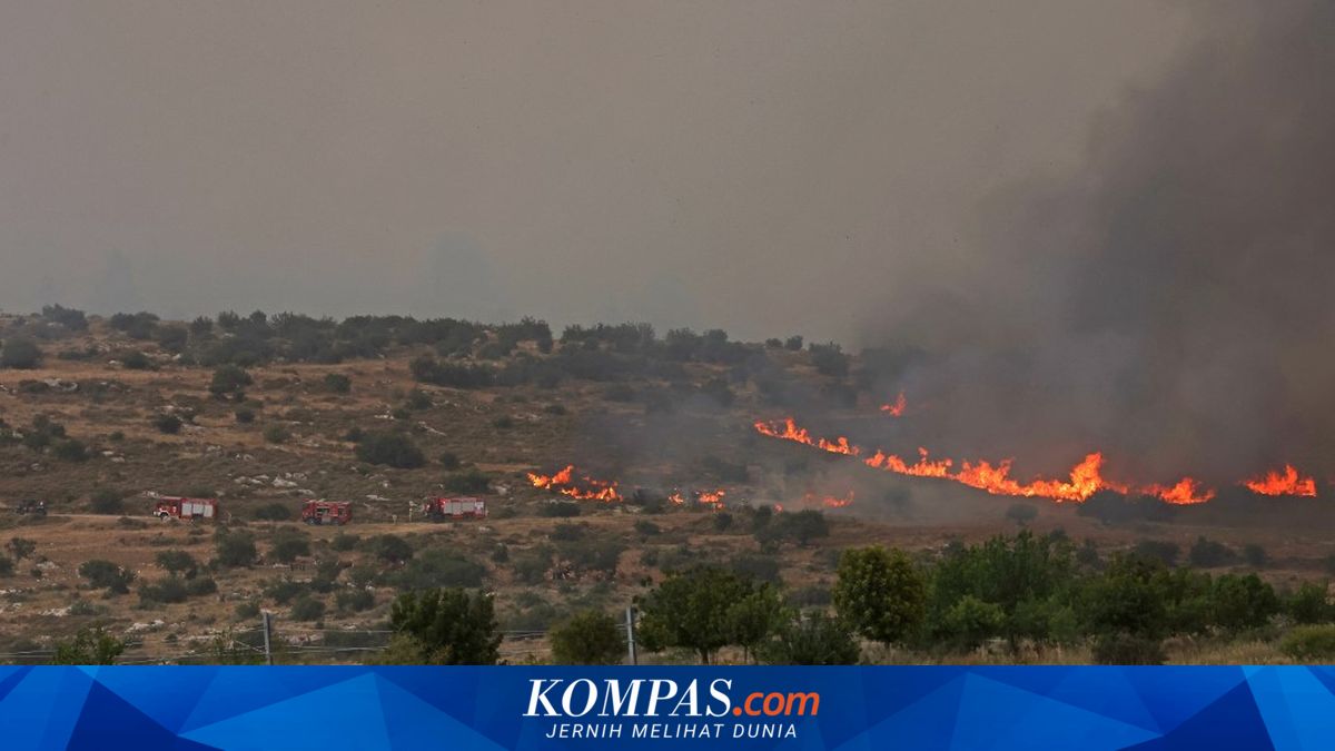Kebakaran Hutan Israel Hanguskan Pohon yang Dulu Usir Warga Palestina