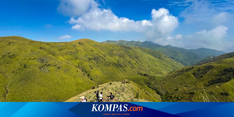 Wisatawan Kini Bisa Camping di Bukit Premium, Padang Sabana Jawa Timur