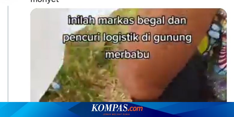 Viral Video soal Begal di Gunung Merbabu, Kepala Balai Taman Nasional ...