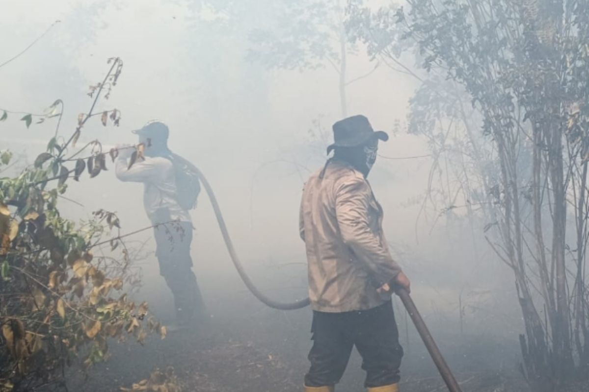 Karhutla di Bengkalis Riau Meluas hingga 15 Hektar, Petugas Gabungan ...