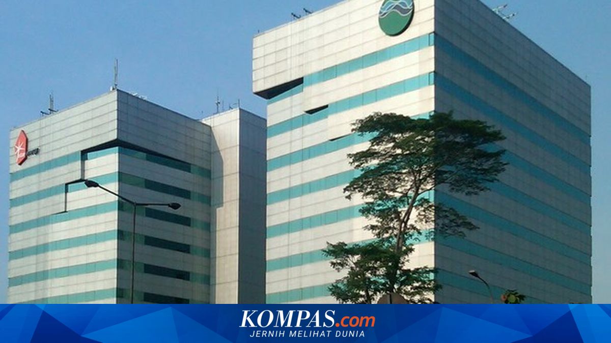 Laba Emiten Prajogo Pangestu BRPT Melonjak 803 Persen di Kuartal I 2026