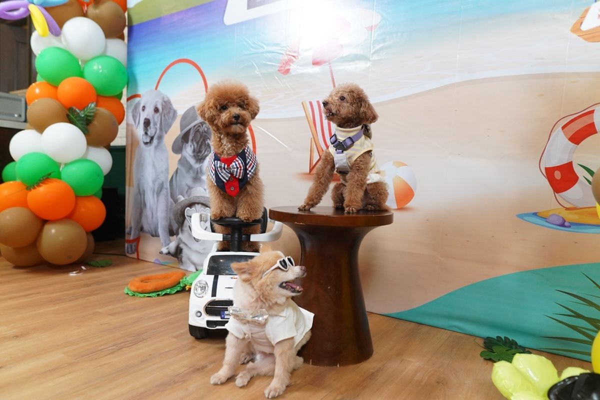 Jakarta International Pet Show 2026, Ada Mini Zoo hingga Yoga with Pets