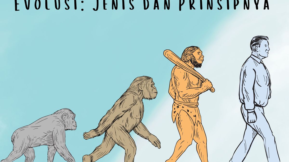 Evolusi: Jenis dan Prinsipnya