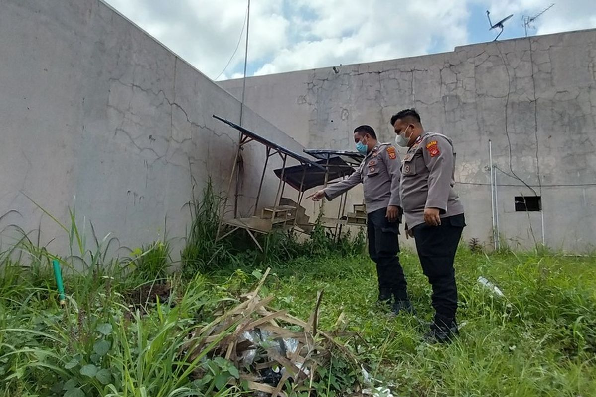 Kuburan Puluhan Kucing Dibunuh di Tasikmalaya Dibongkar, Bangkainya ...