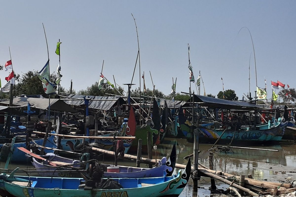 Nelayan Kendal Menjerit, Harga Solar Naik, tapi Sulit Didapat