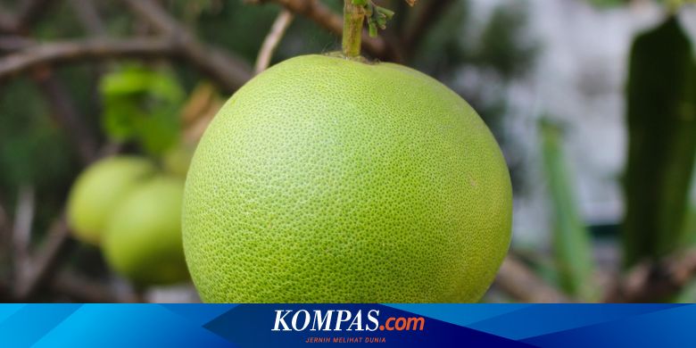 9 Manfaat Jeruk Bali, dari Melawan Kanker hingga Baik untuk Jantung