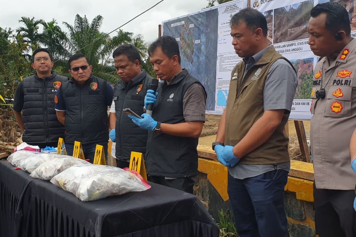 Kementerian Kehutanan Ungkap Asal-Usul Pohon yang Terbawa Banjir di ...
