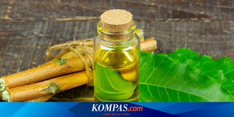 Manfaat Minyak Nimba untuk Tanaman dan Cara Menggunakannya