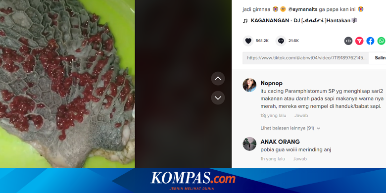 Video Viral Cacing Menumpuk di Babat Sapi, Ini Penjelasan Ahli BRIN