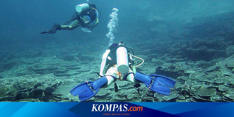 Pemerintah "Percantik" Bandara Matahora di Wakatobi, Seperti Apa Jadinya?