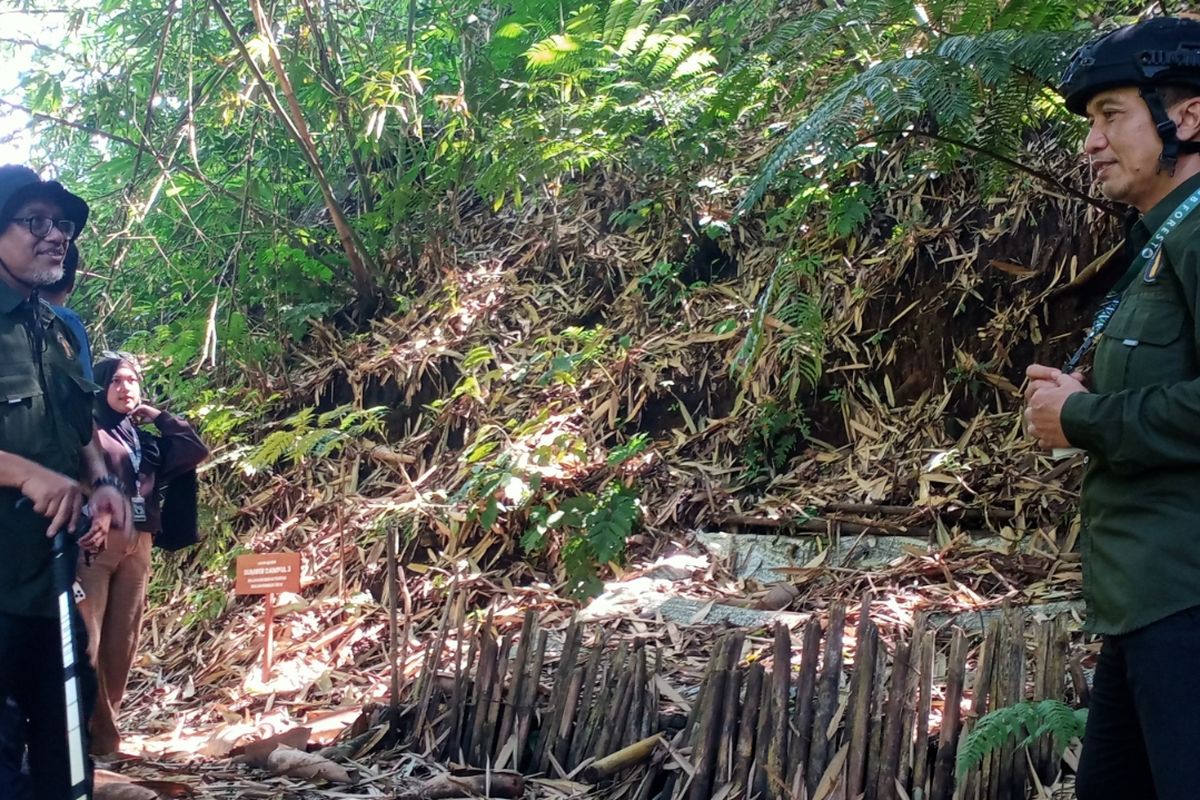 Jelajah Hutan UB Forest Malang, Wisata di Lereng Gunung Arjuno