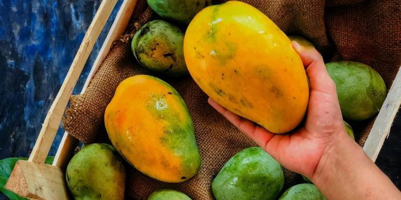 Tips Memilih Buah Mangga yang Manis dan Matang, Jangan Hanya Lihat Warnanya!