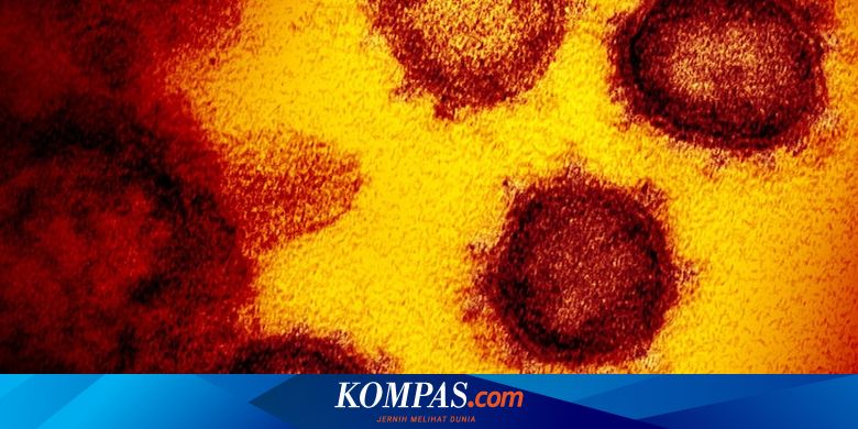 Studi: Wabah Virus Corona Pernah Terjadi di Zaman Purba Selama 20.000 Tahun