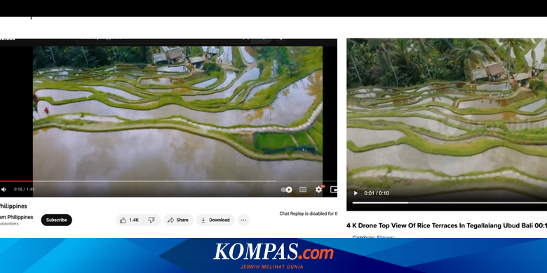 Saat Video Sawah Terasering Bali Dipakai untuk Promosi Wisata Filipina