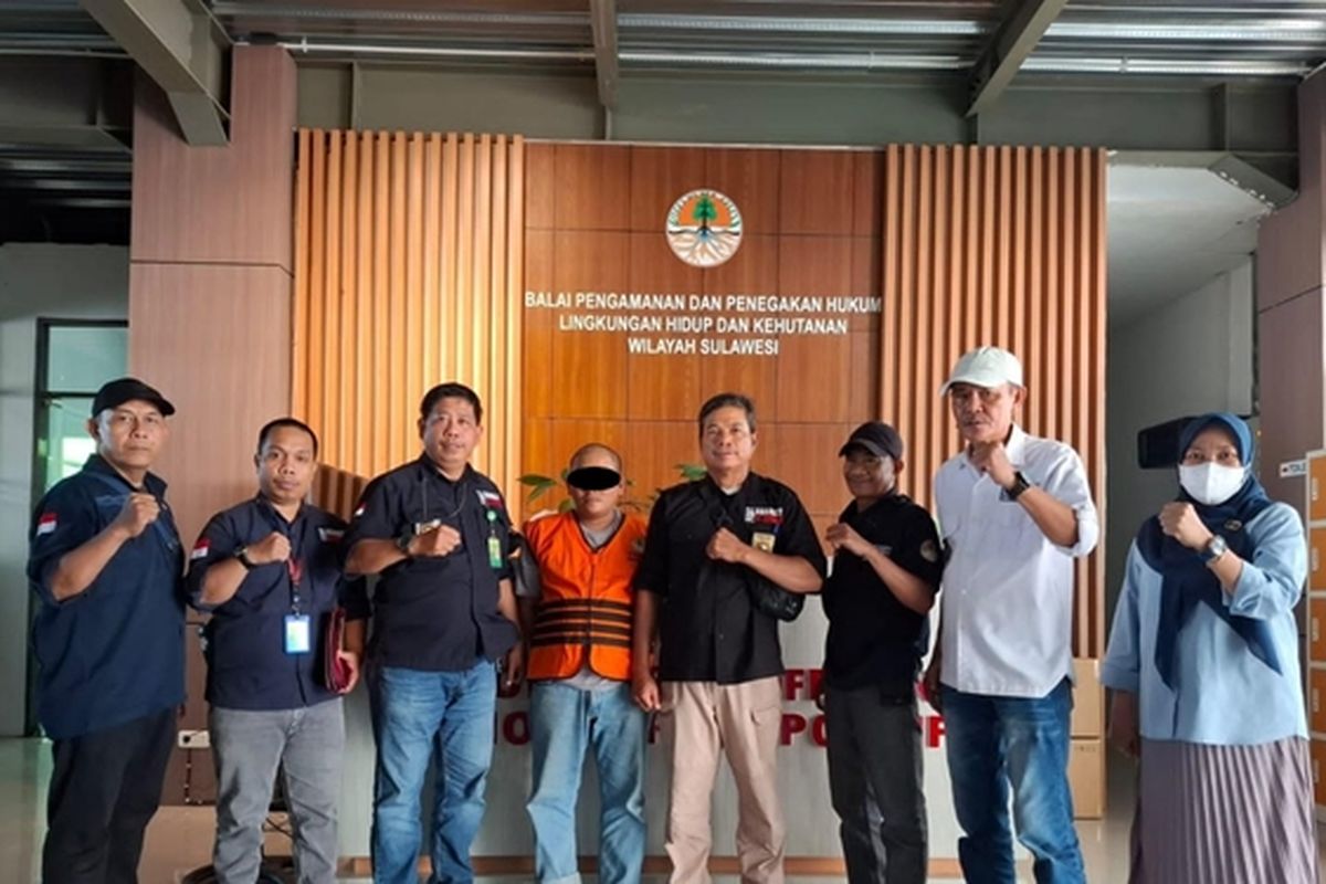 Buronan Perusak Cagar Alam Faruhumpenai di Luwu Timur, Ditangkap
