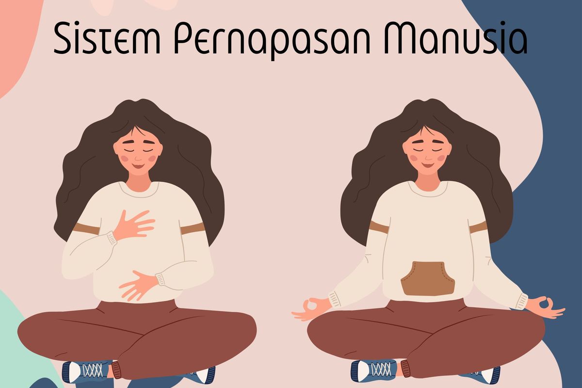 Mengenal Sistem Pernapasan Manusia Halaman all - Kompas.com