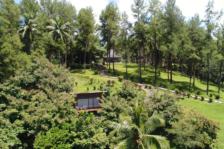 Berita Terkini Harian Bukit Dagi Magelang Terbaru Hari Ini - Kompas.com