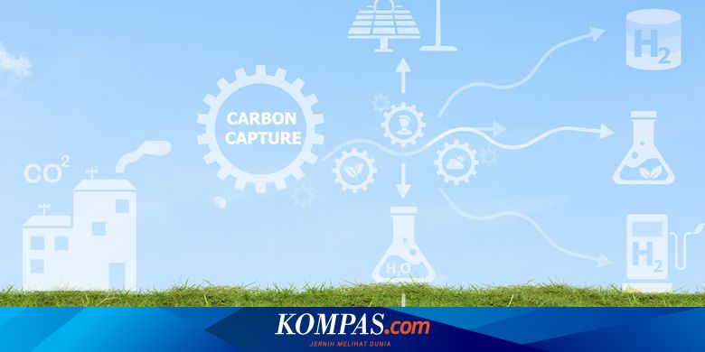 Pemerintah Buka Peluang Investasi Sektor Penangkapan dan Penyimpanan Karbon