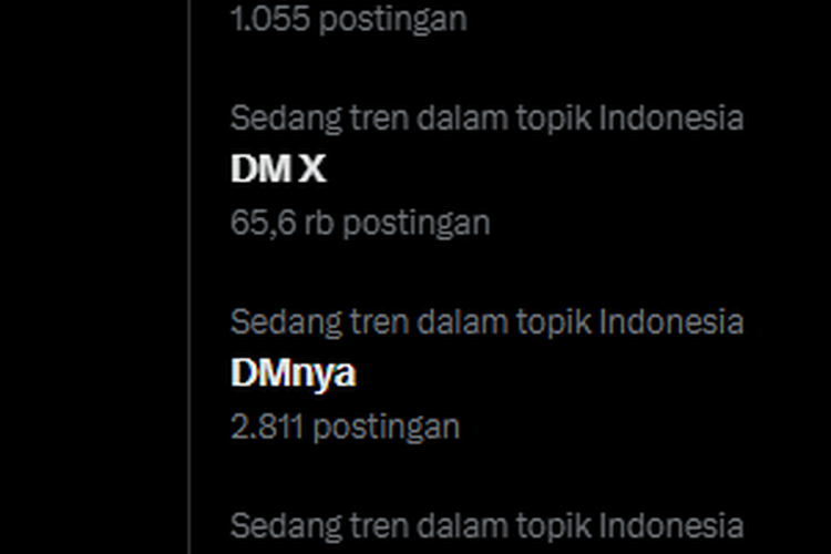 Foto : X Eror, Warganet Keluhkan Tidak Bisa Cek DM